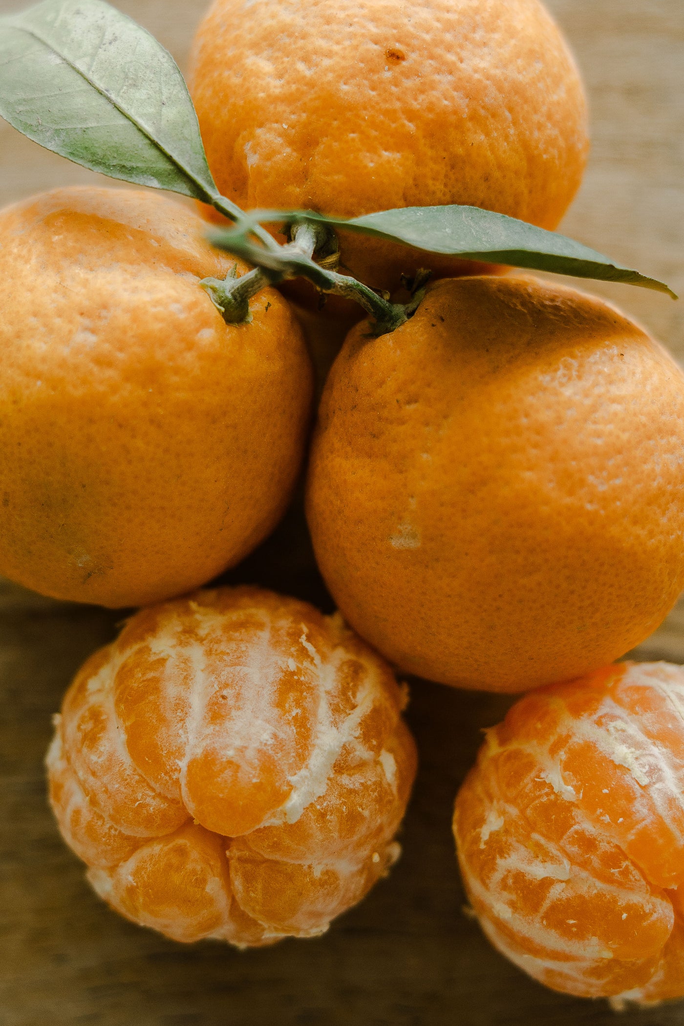 Novelty Farming - Specialty Orange Farm and Delivery